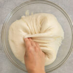 Vegan Garlic Naan - ShortGirlTallOrder
