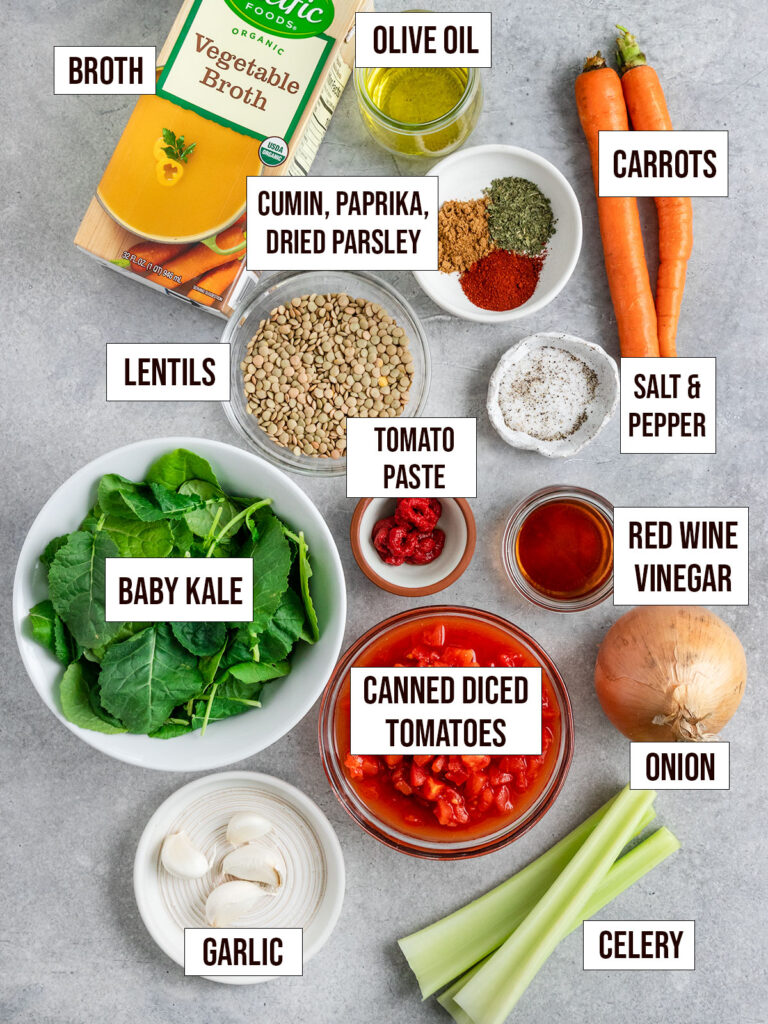 One-Pot Lentil Soup - ShortGirlTallOrder